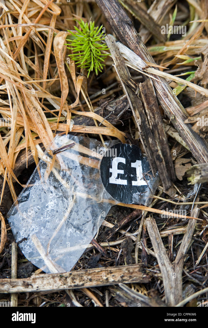 Ground and pound hi-res stock photography and images - Alamy