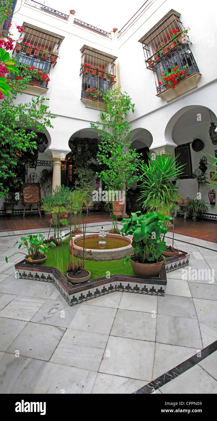 Courtyard garden hi-res stock photography and images - Alamy