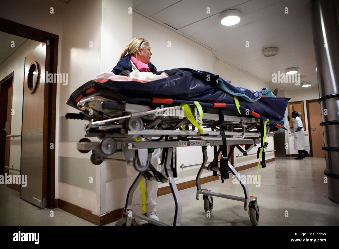 Cauda equina syndrome hi-res stock photography and images - Alamy