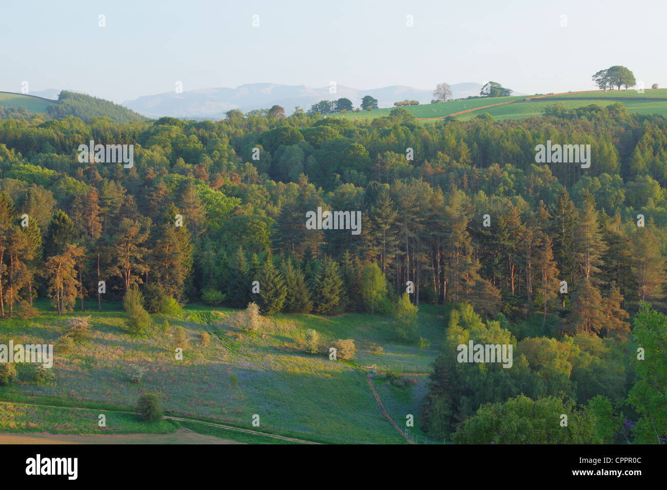 Armathwaite eden hi-res stock photography and images - Alamy