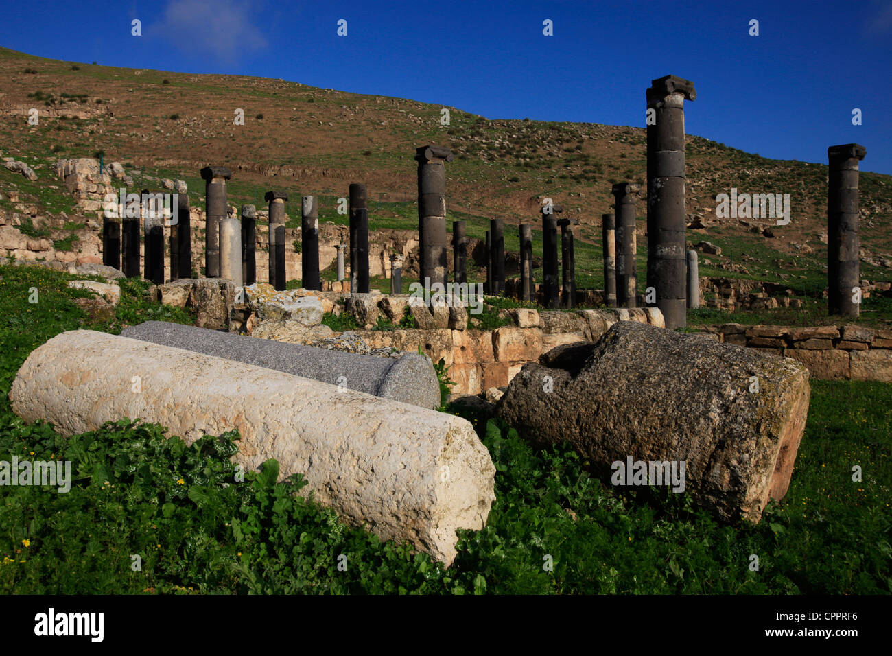 Megalithic columns at Umm al-Amad (the mother of columns) at the ...