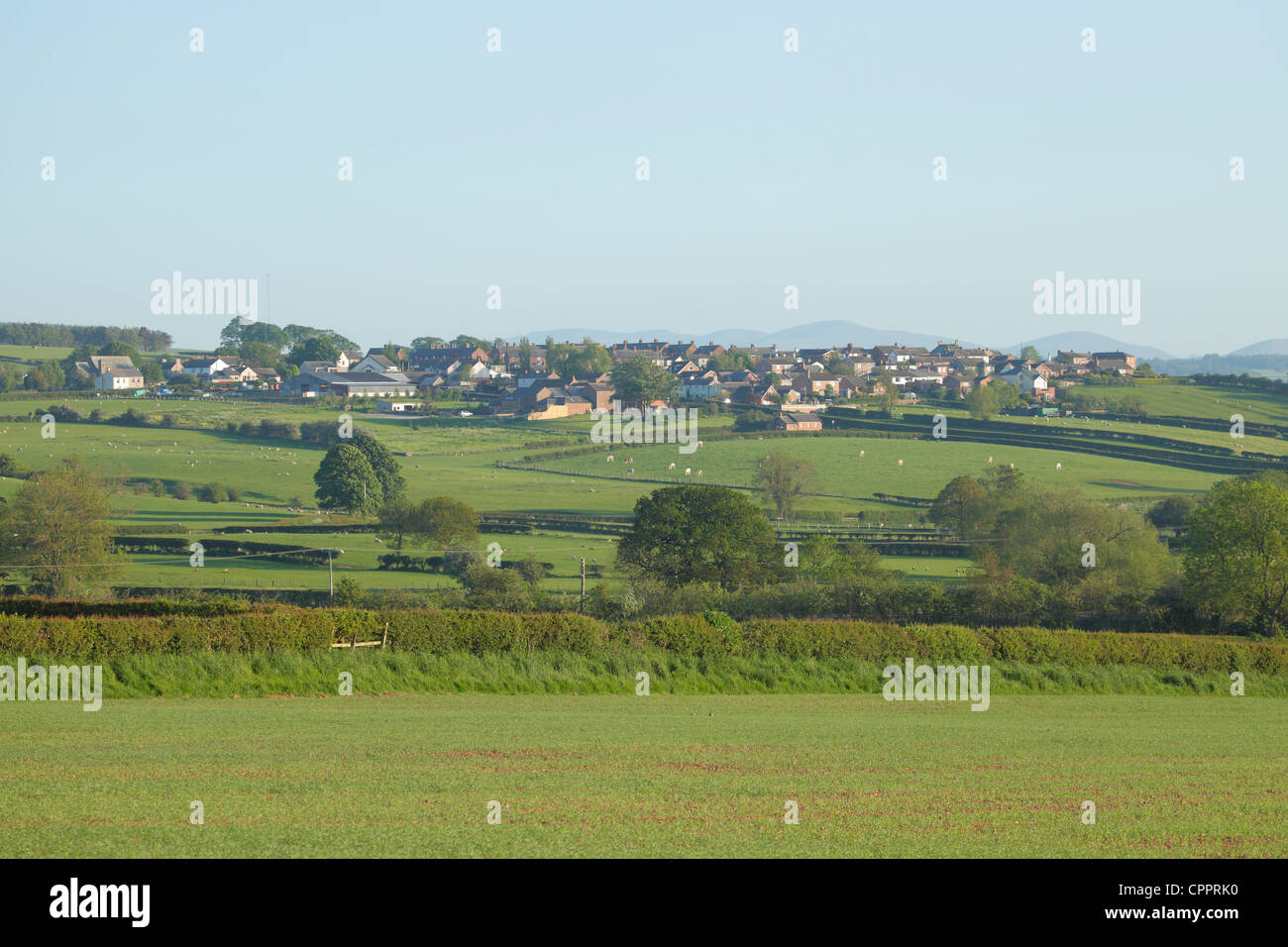 Cotehill looking South West with the Lake District mountains on the ...