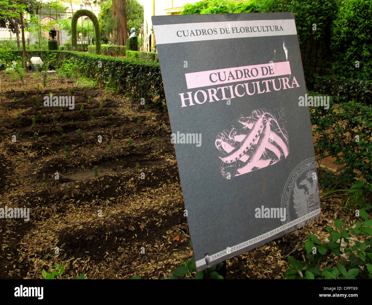 University of andalusia hi-res stock photography and images - Alamy