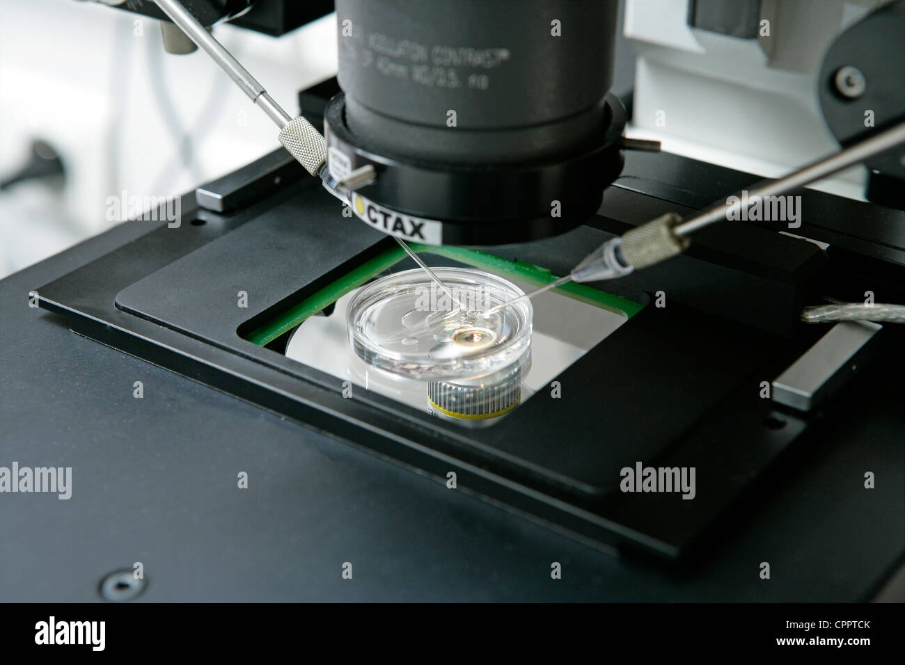 ICSI Stock Photo - Alamy
