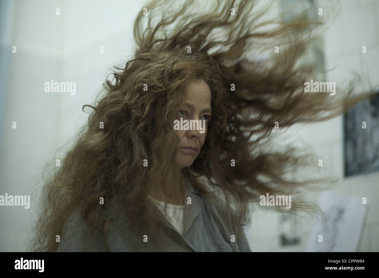 The Devil Inside Year : 2012 USA Director : William Brent Bell Suzan ...