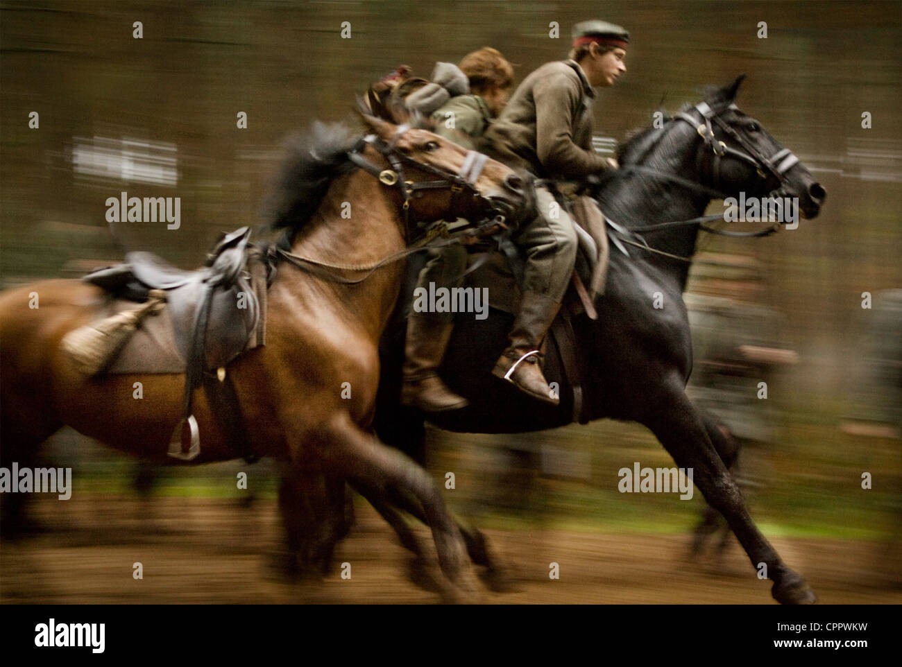 War horse 2011 hi-res stock photography and images - Alamy