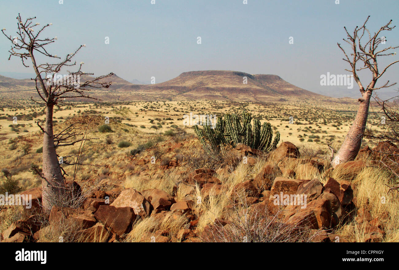 Etendeka hi-res stock photography and images - Alamy