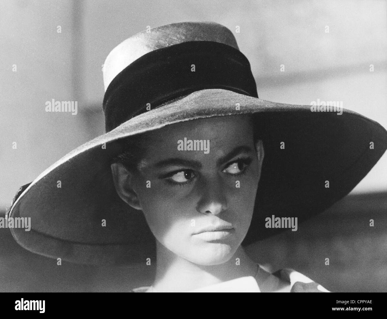 Vaghe stelle dell'Orsa Stock Photo - Alamy