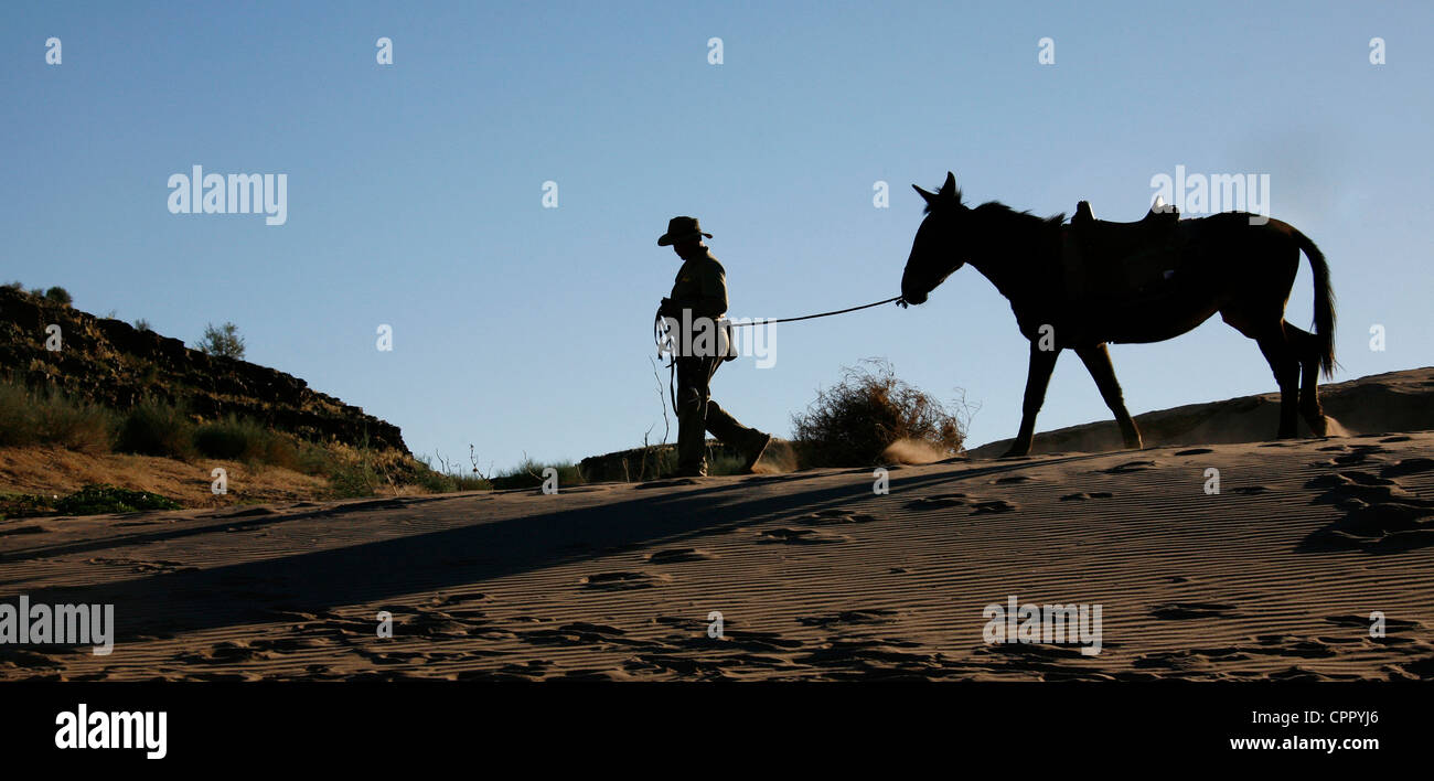 A mule and the muleteer in the Fish River Canyon Stock Photo - Alamy