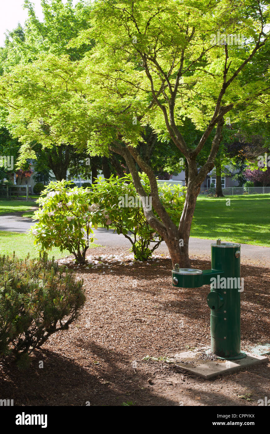 Fountain tree hi-res stock photography and images - Alamy