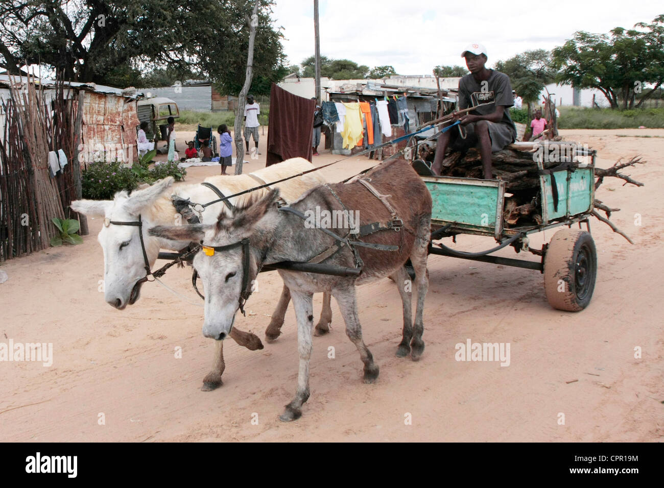 Donkey Cart in the Okakarara township Stock Photo - Alamy