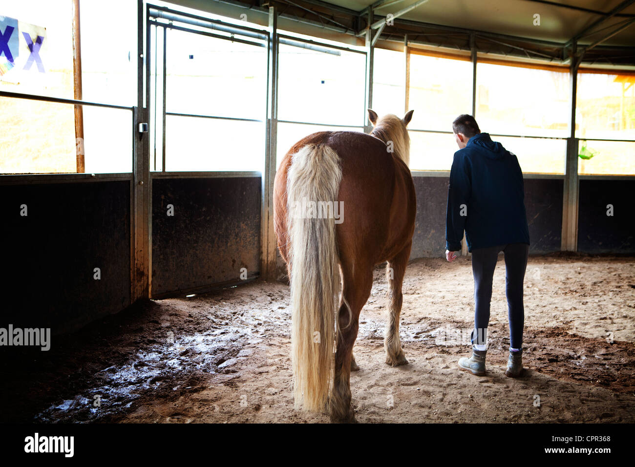 Hippotherapy handicapped hi-res stock photography and images - Alamy