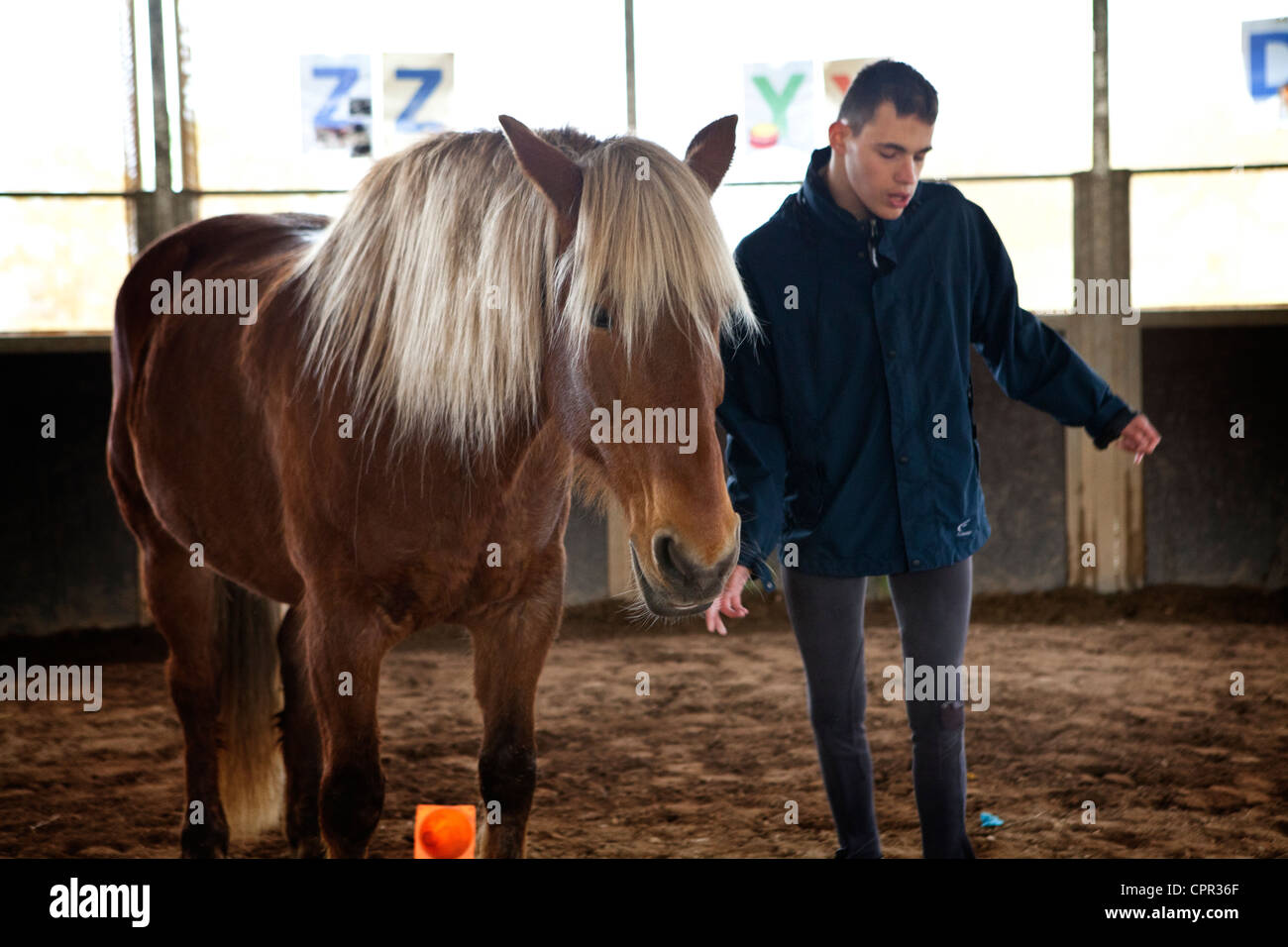 Hippotherapy handicapped hi-res stock photography and images - Alamy