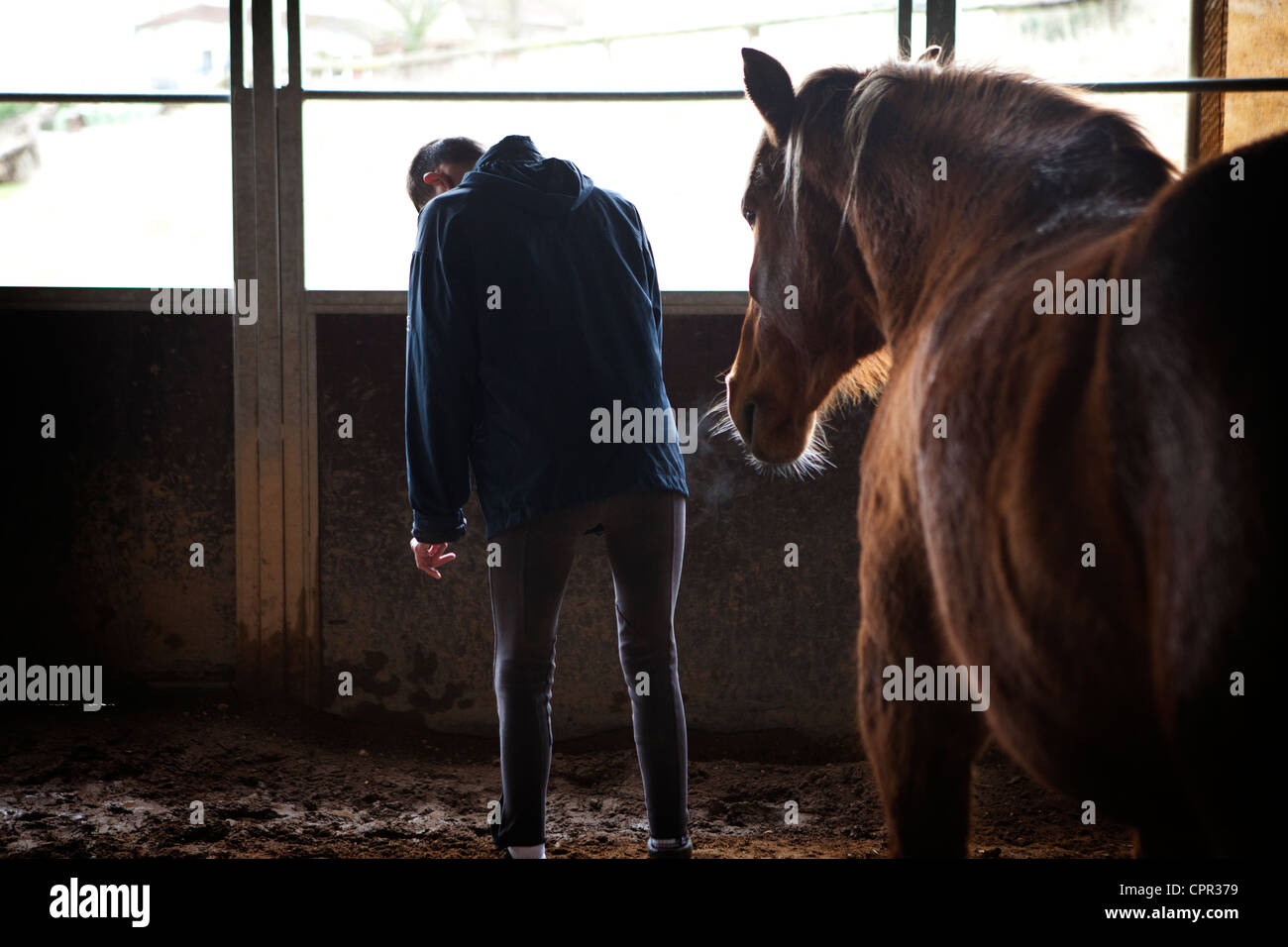 Hippotherapy handicapped hi-res stock photography and images - Alamy