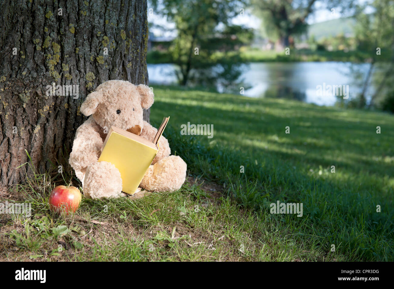 teddy bear reading a book under a tree Stock Photo - Alamy