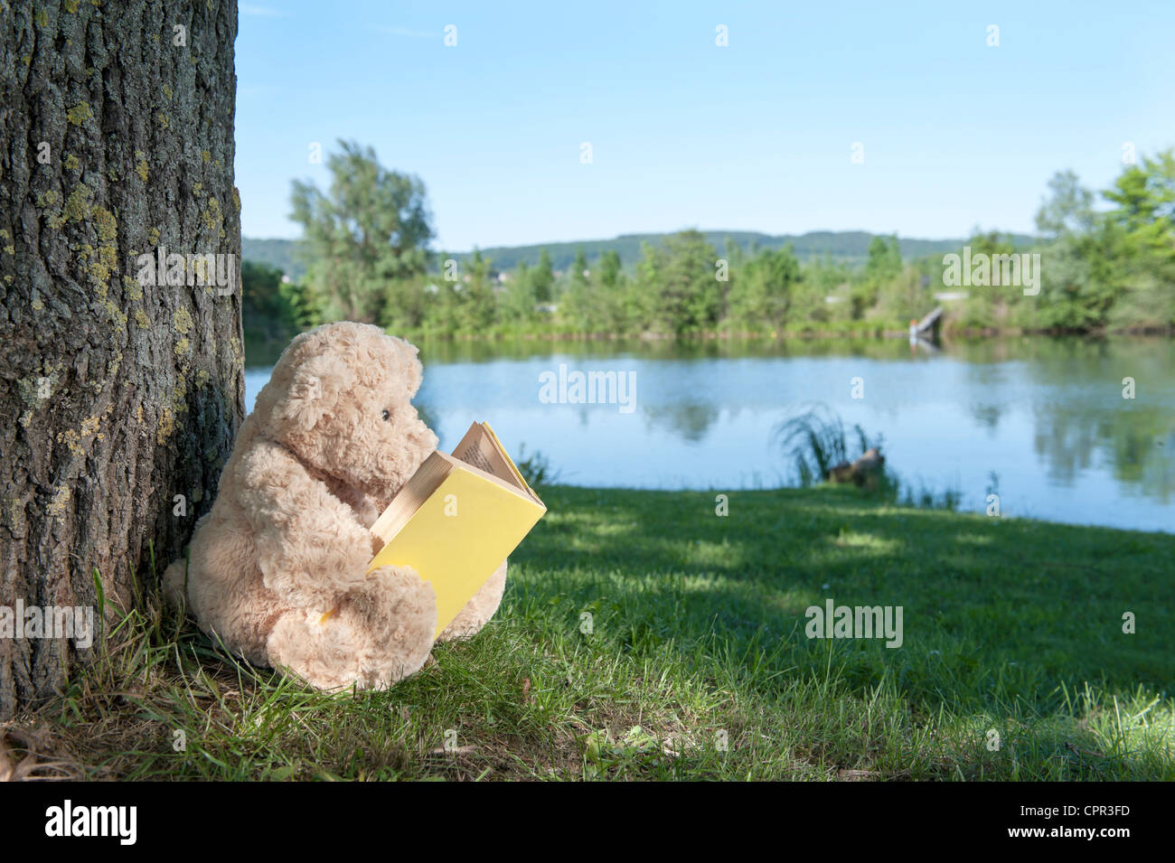 Steel Teddy Bear High Resolution Stock Photography and Images - Alamy