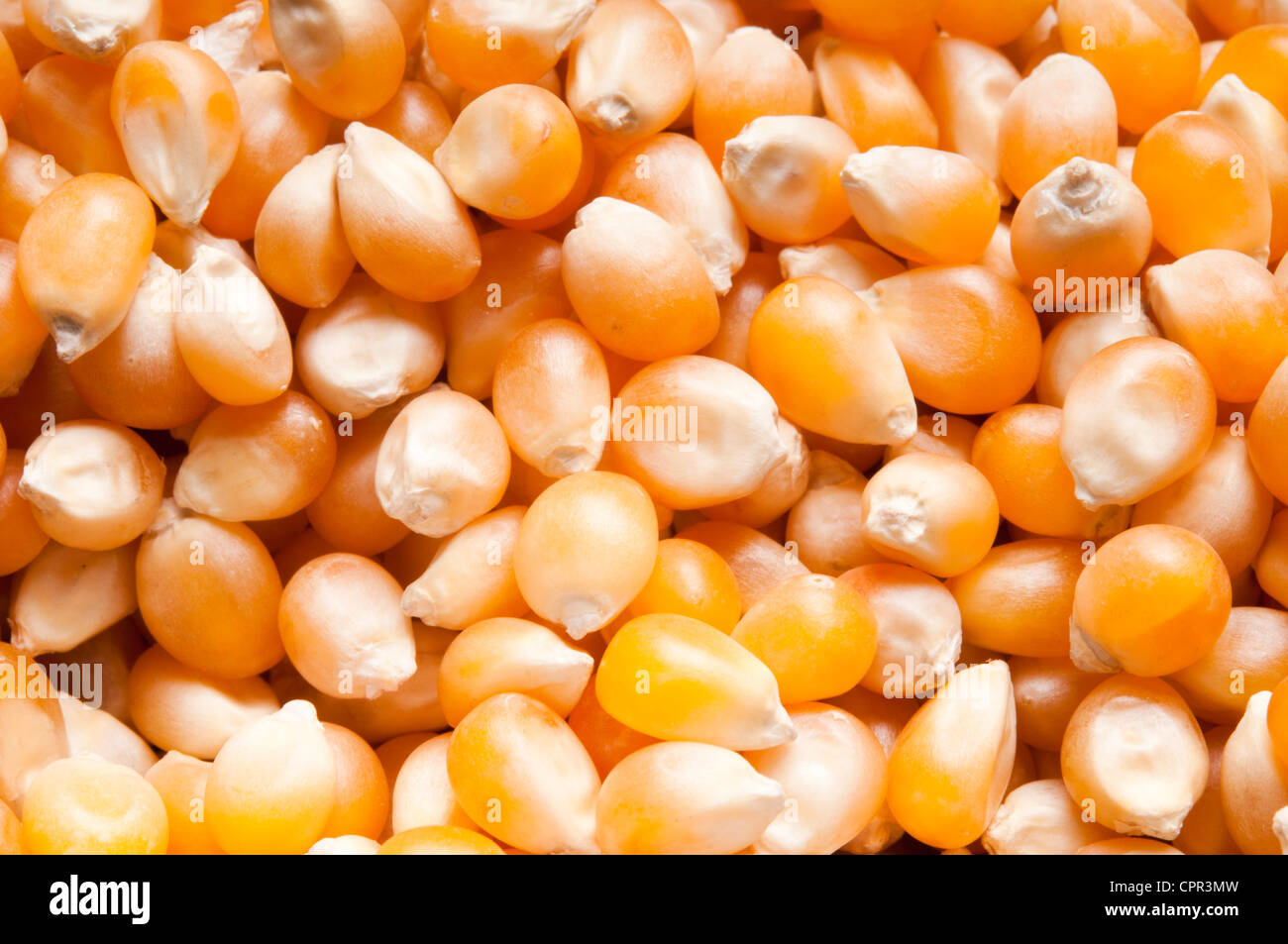 Maize grain hi-res stock photography and images - Alamy