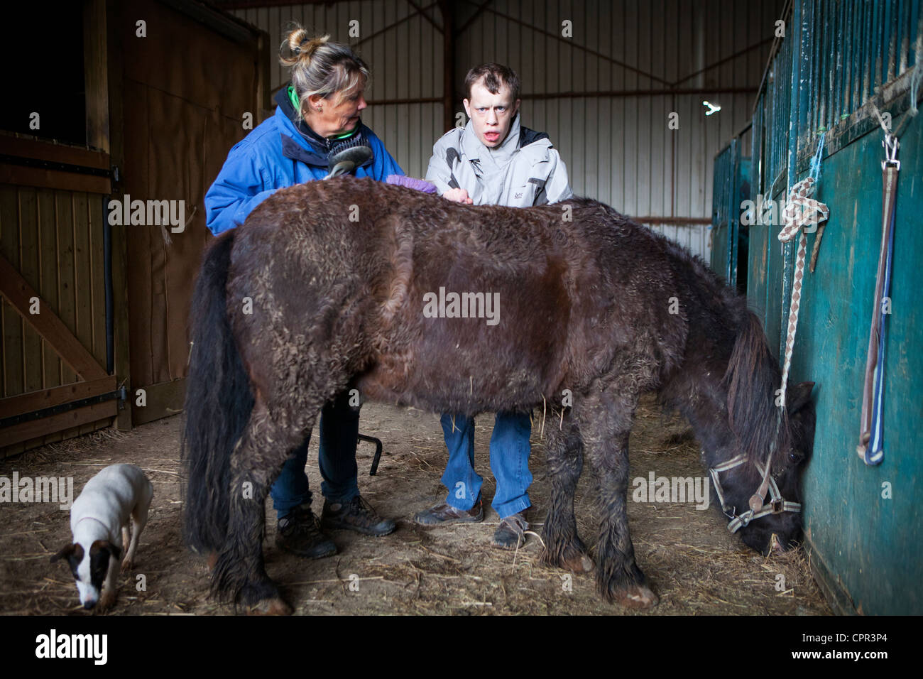 Hippotherapy handicapped hi-res stock photography and images - Alamy