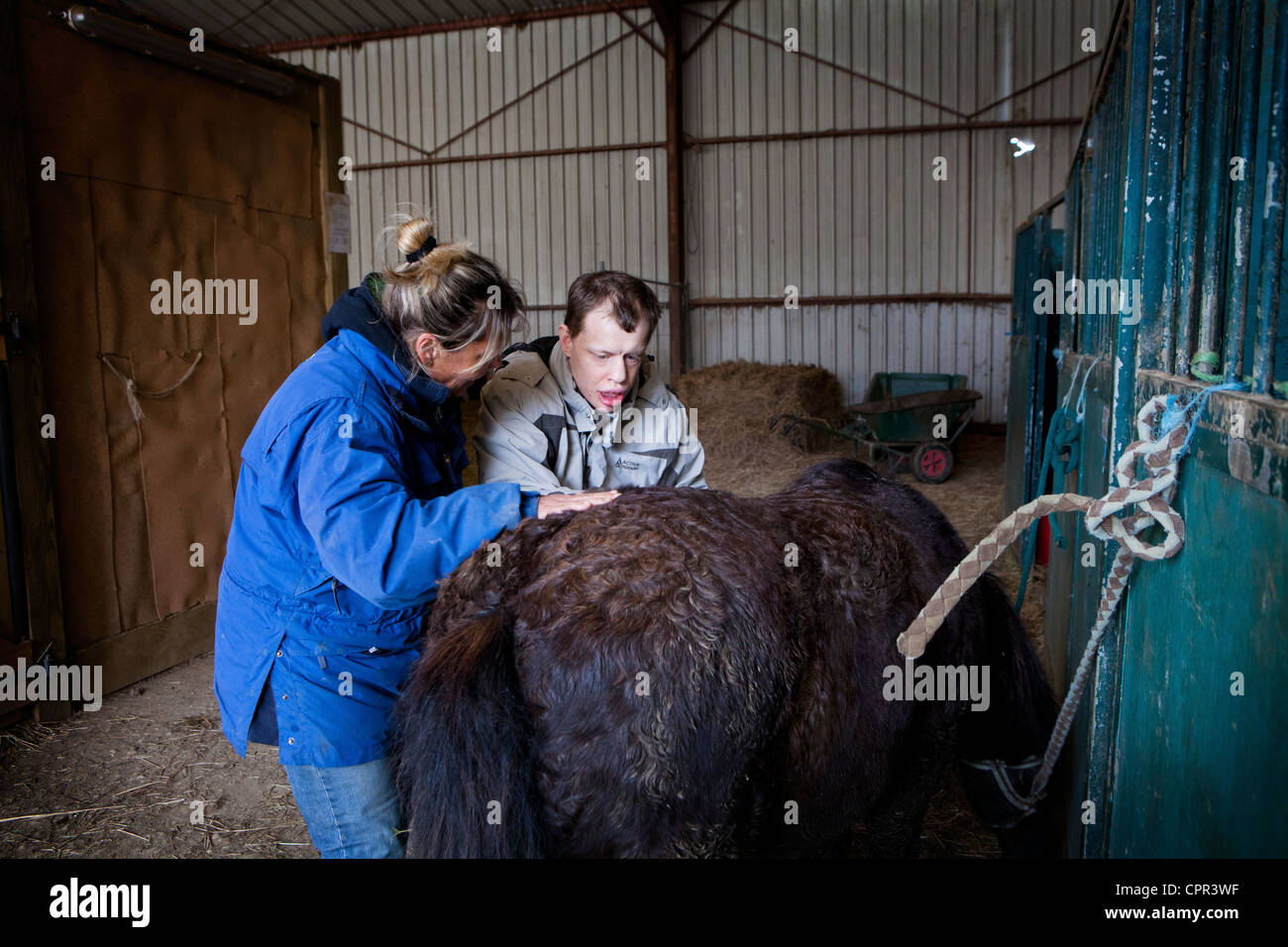 Hippotherapy disabled hi-res stock photography and images - Alamy
