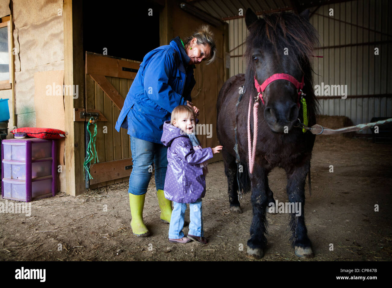 Animal assisted therapies hi-res stock photography and images - Alamy