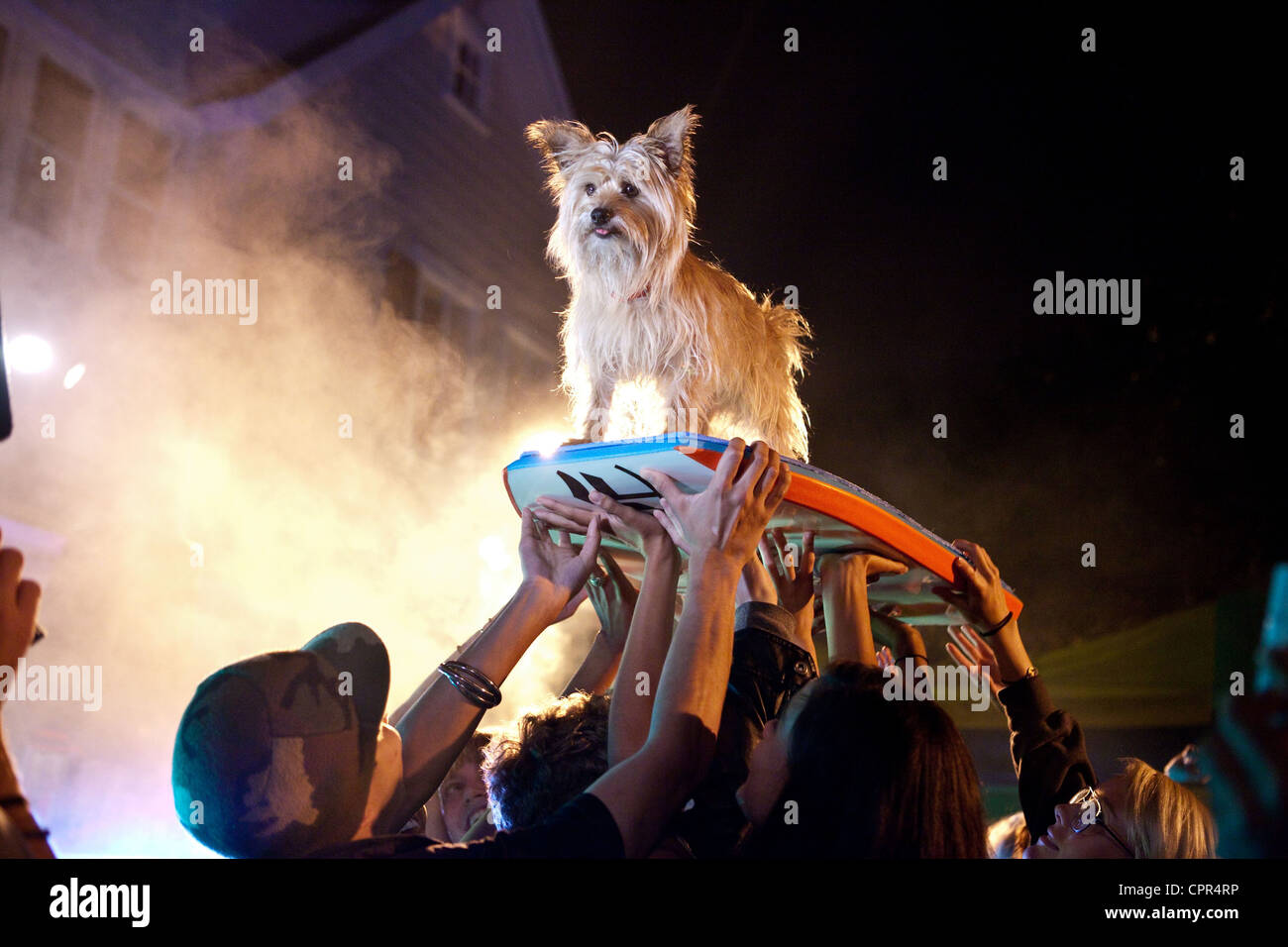 Project x party hi-res stock photography and images - Alamy