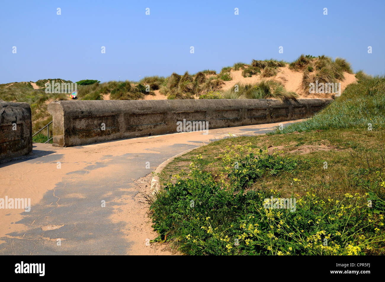 sand dunes and footpath Stock Photo - Alamy