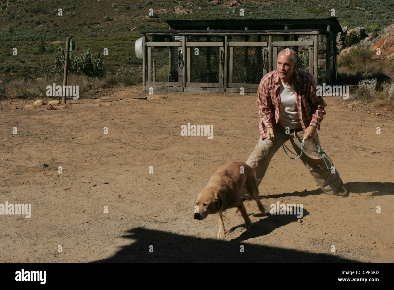 Disgrace dog hi-res stock photography and images - Alamy