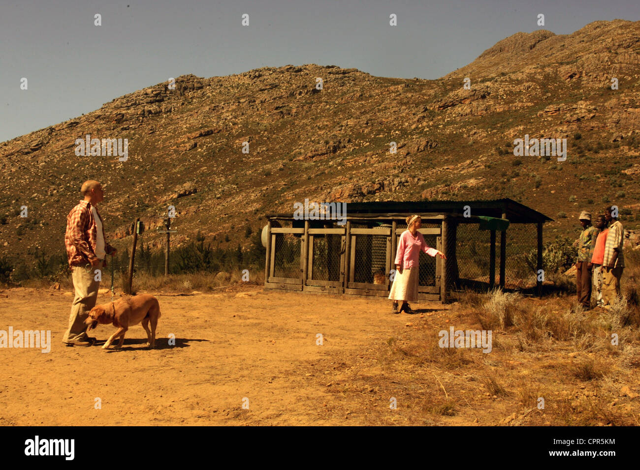 Disgrace hi-res stock photography and images - Alamy