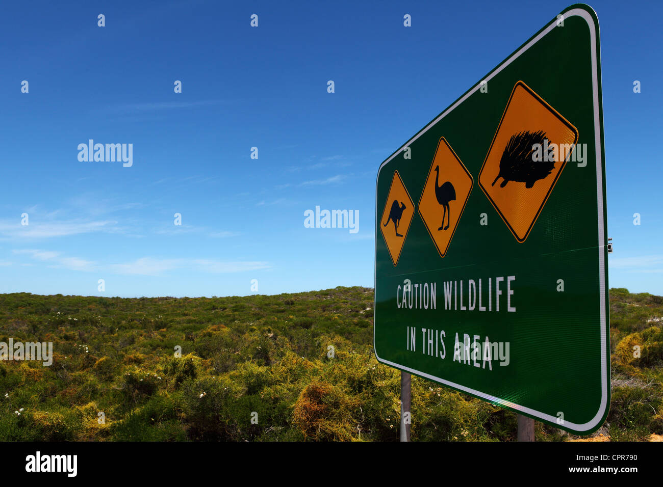 Australian native animals hi-res stock photography and images - Alamy