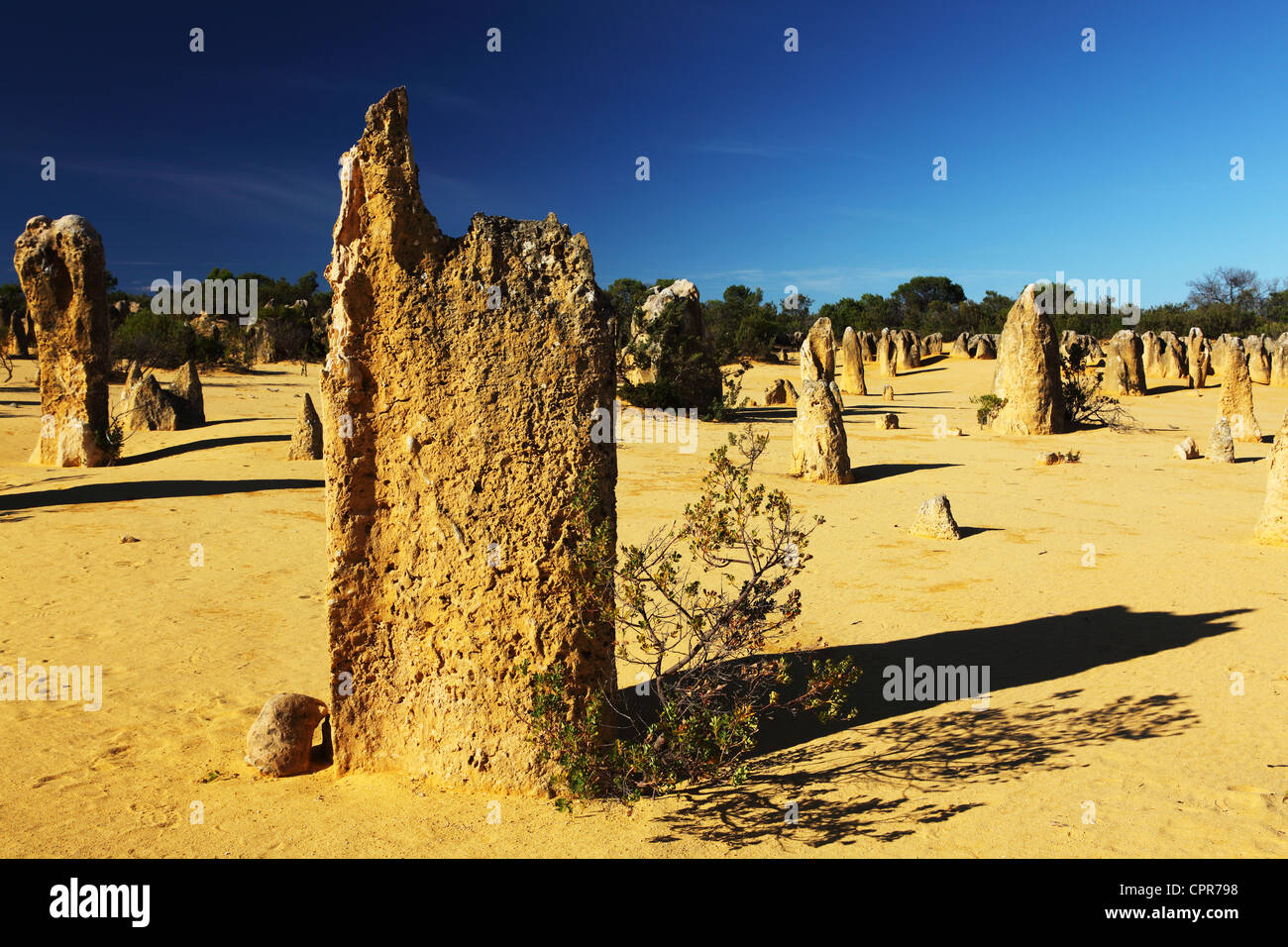 Natural limestone sculptures in the Pinnacles Desert, Western Australia ...