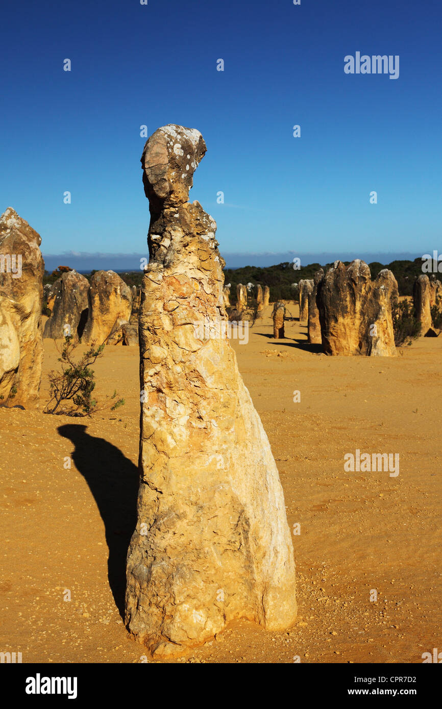 Desert western australia hi-res stock photography and images - Alamy