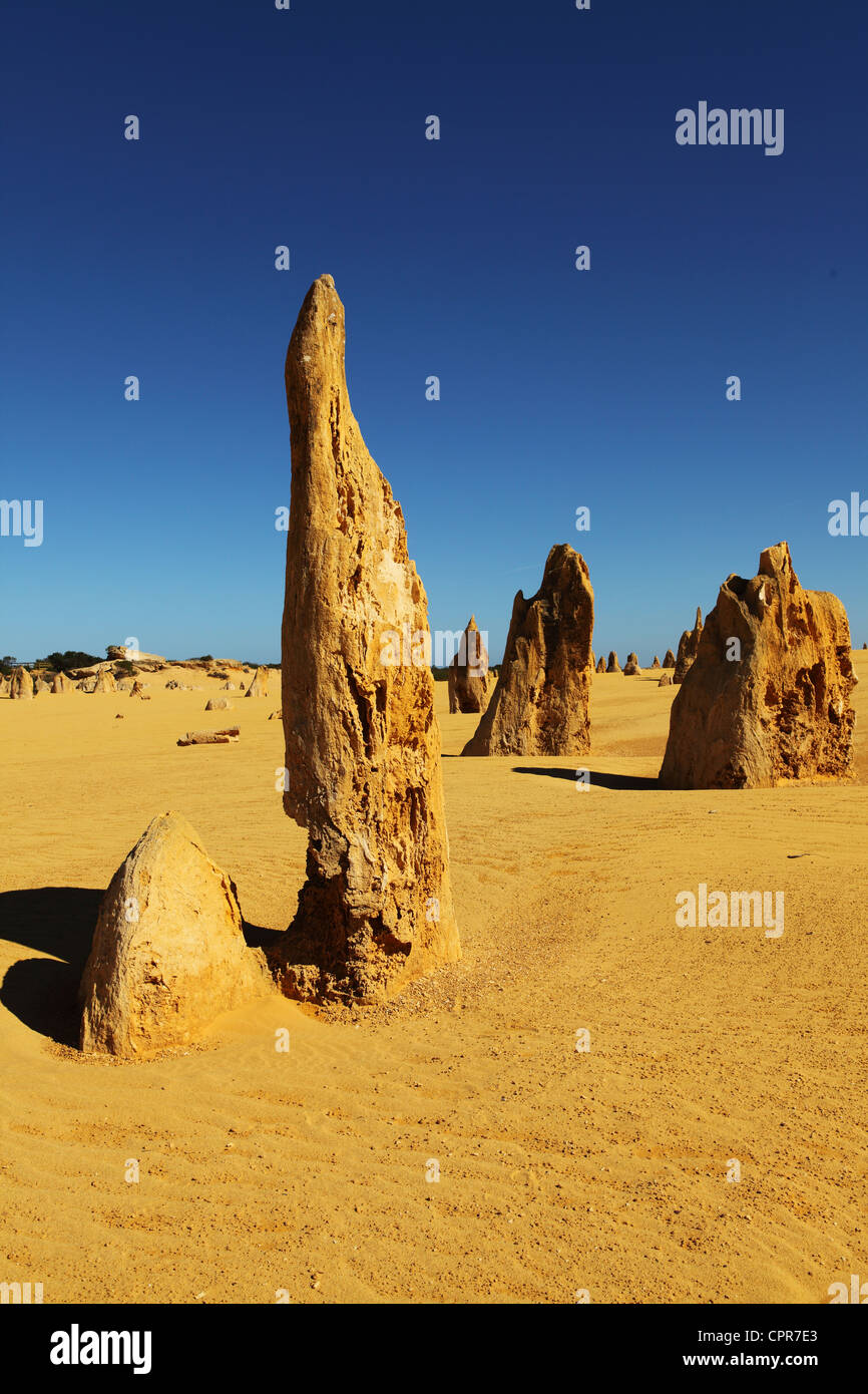 Natural limestone sculptures in the Pinnacles Desert, Western Australia ...