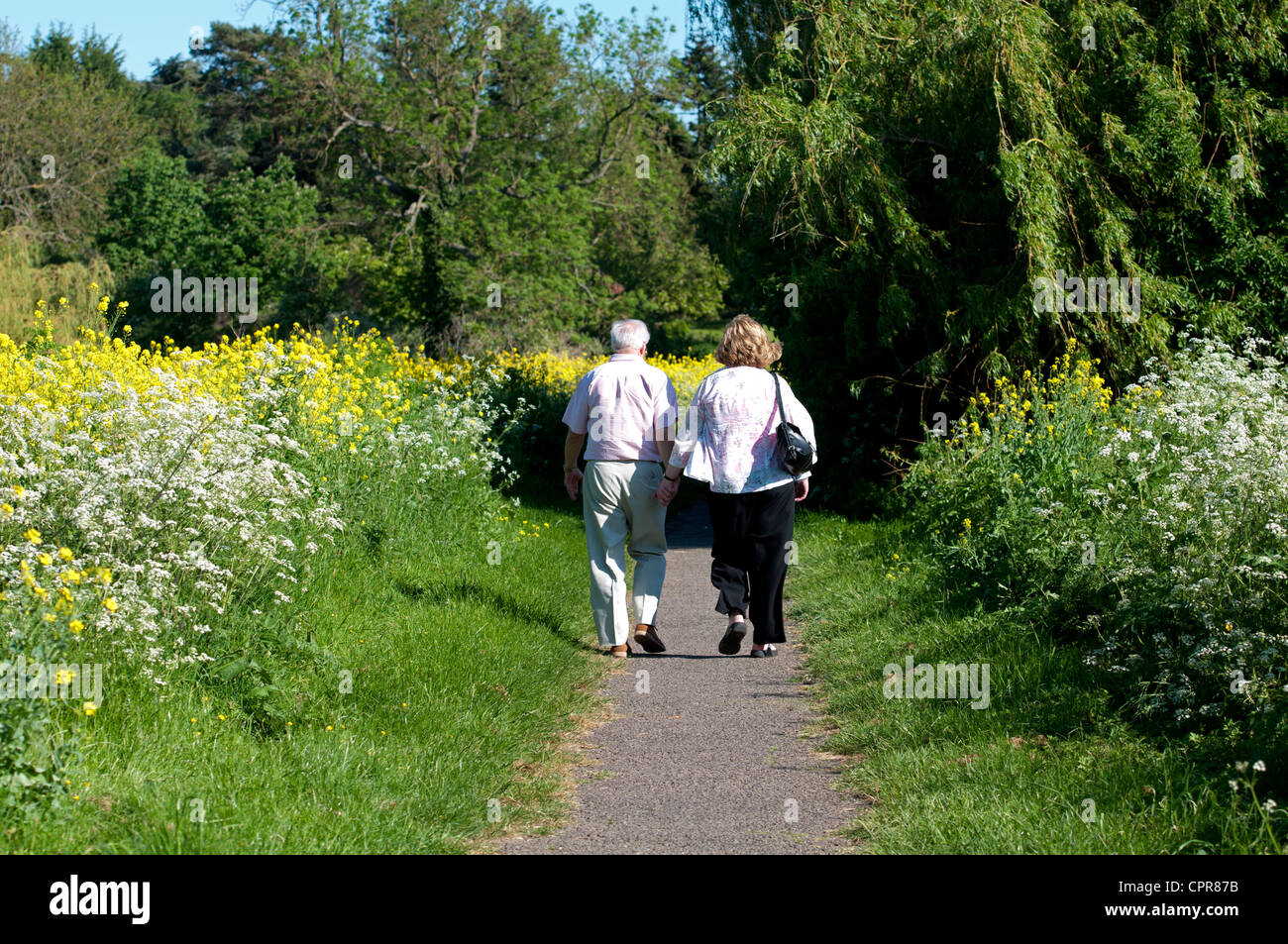Riverside pathway near Stratford-upon-Avon, UK Stock Photo - Alamy