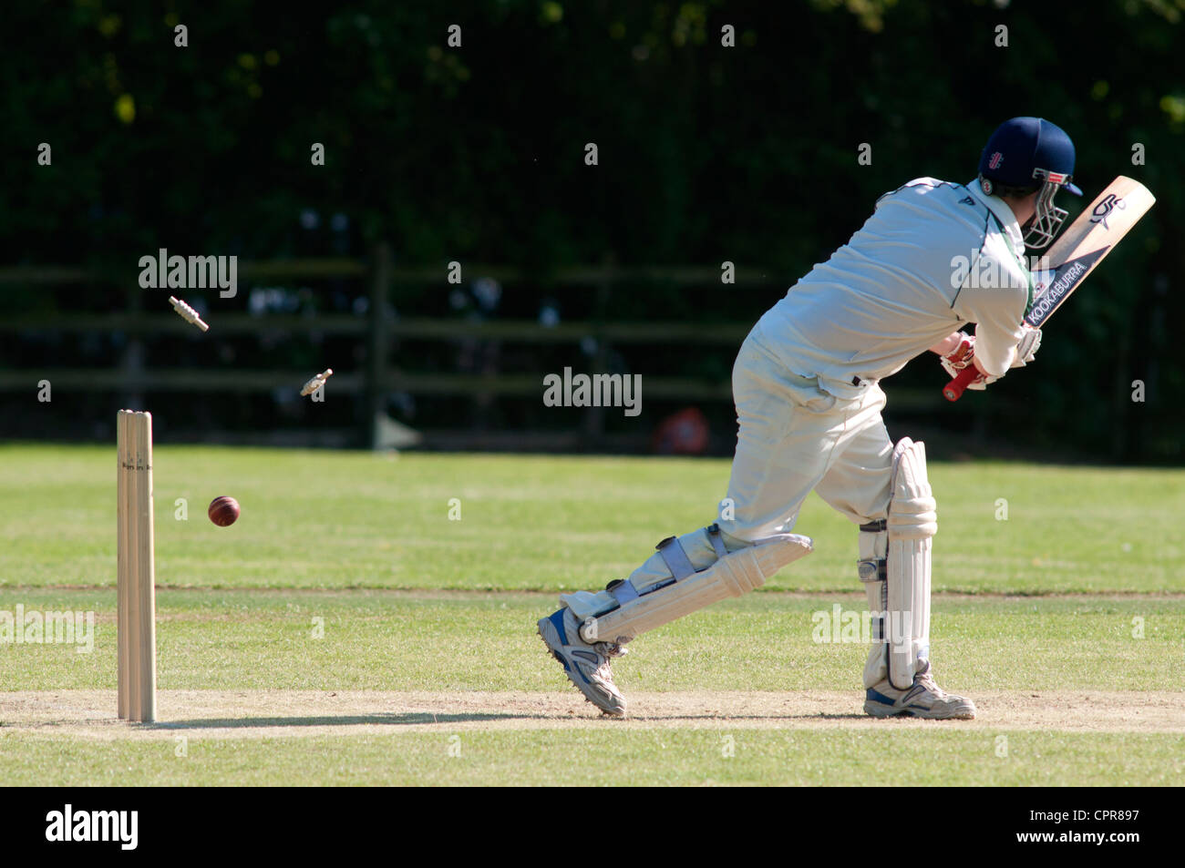 Batsman bowled out with bails flying Stock Photo - Alamy