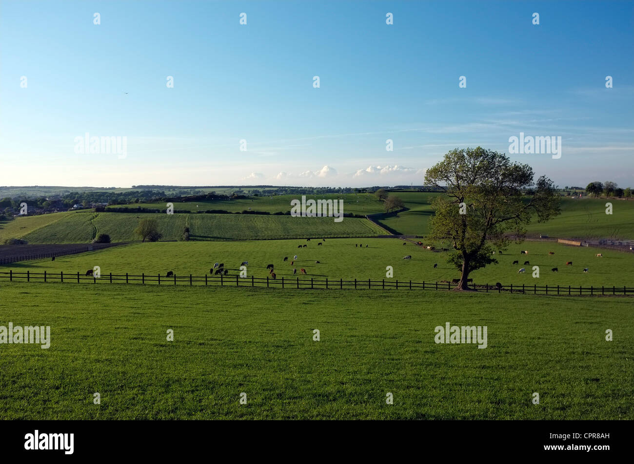 Rawdon and yorkshire hi-res stock photography and images - Alamy