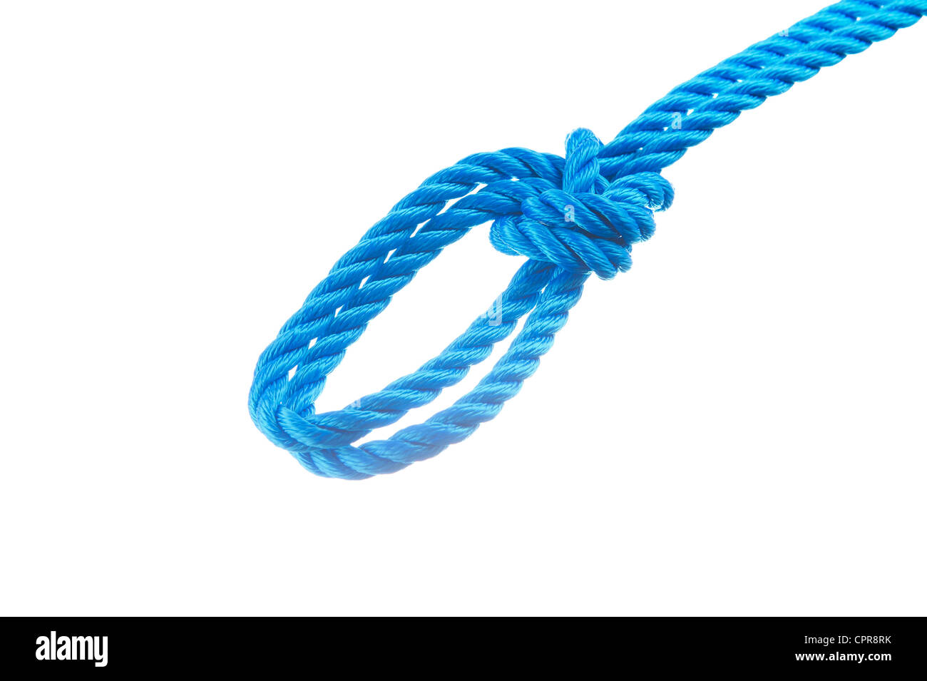 Bowline on a bight isolated on white background Stock Photo - Alamy