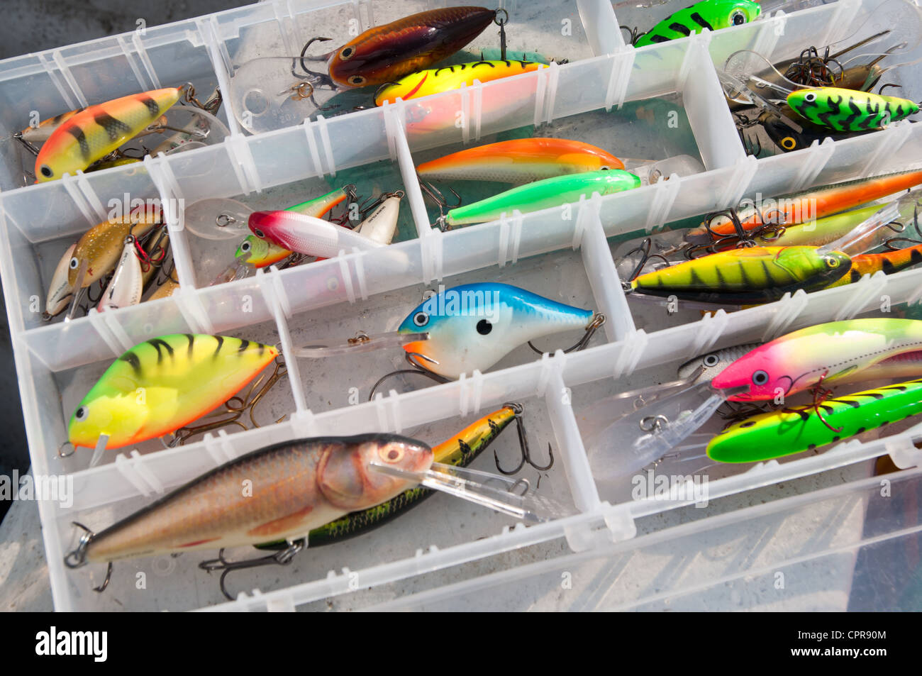 Colourfull fish hi-res stock photography and images - Alamy