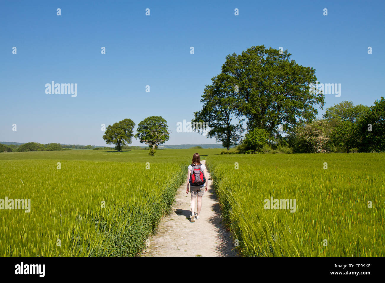 Path through barley hi-res stock photography and images - Alamy