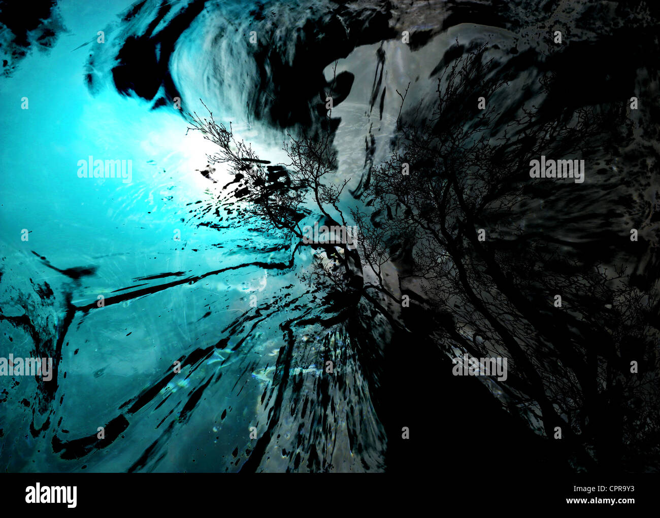 Natural abstract art created be layering photographic elements and ...