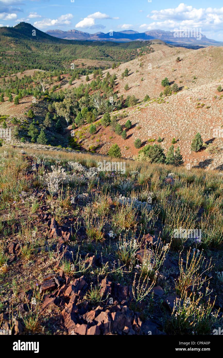 View across hills on Arkaba Station to Wilpena Pound in South Australia ...
