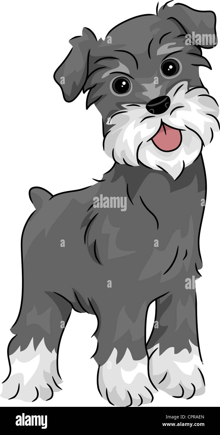 Schnauzer dog cartoon illustration hi-res stock photography and images ...