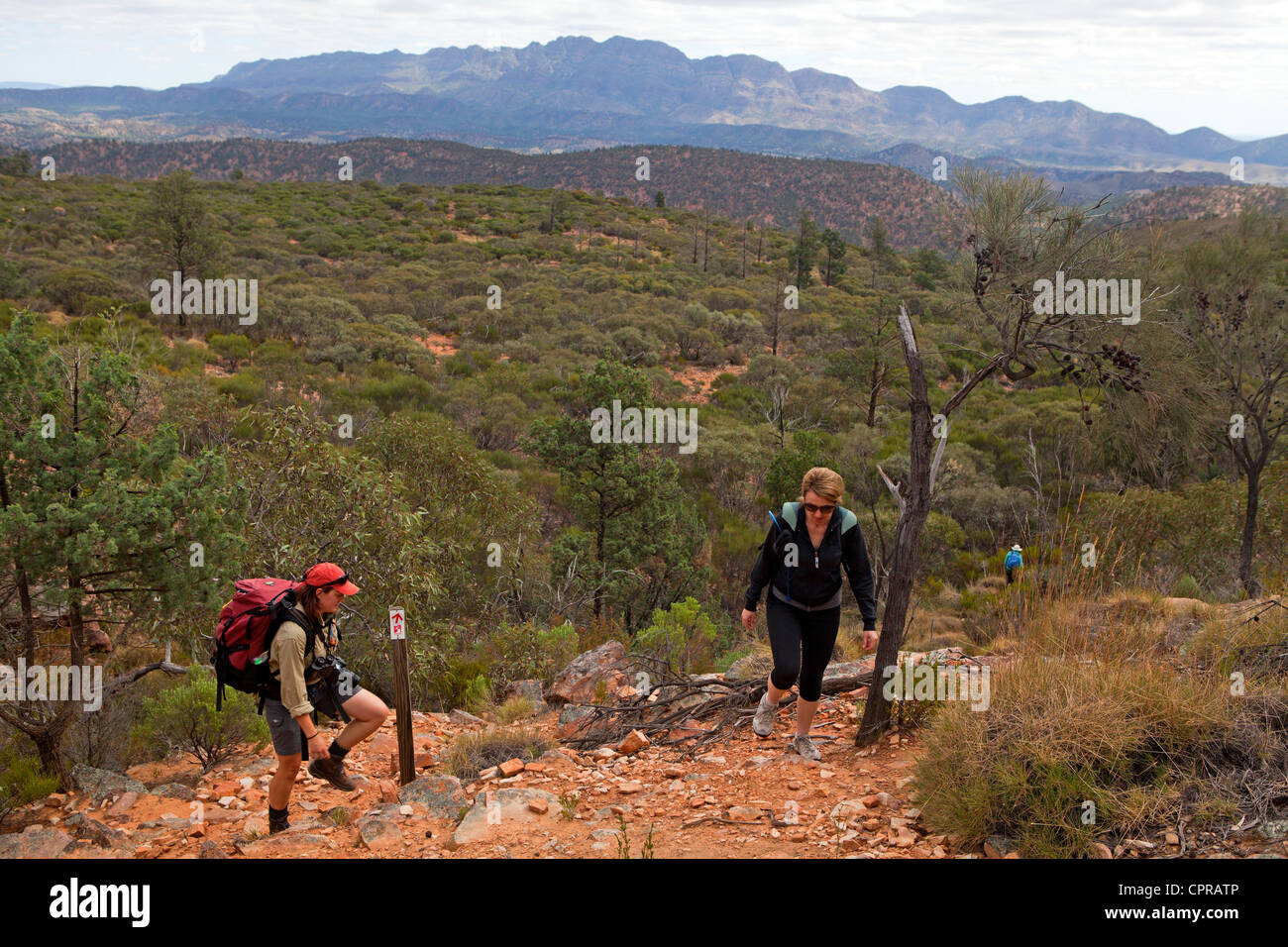 Elder ranges flinders ranges hi-res stock photography and images - Alamy