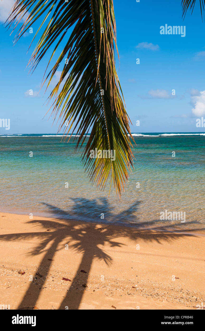 Anini Beach, Kauai, Hawaii Stock Photo - Alamy
