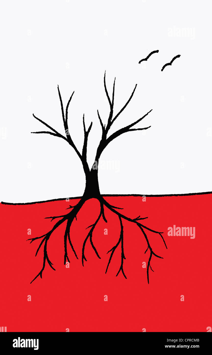 Roots and branches of tree or a tree with blood vessels Stock Photo - Alamy