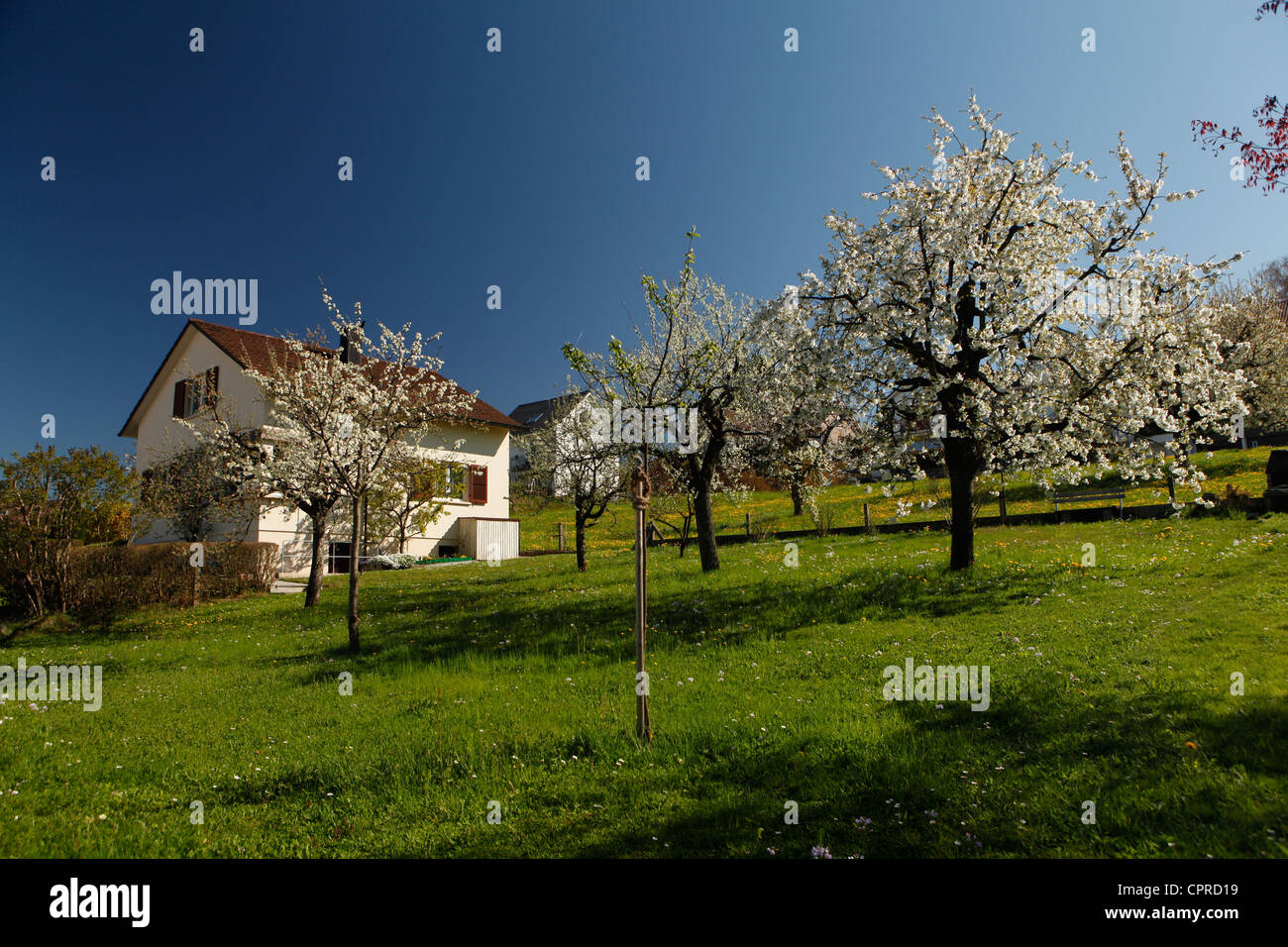 Dornach village in Switzerland Stock Photo - Alamy