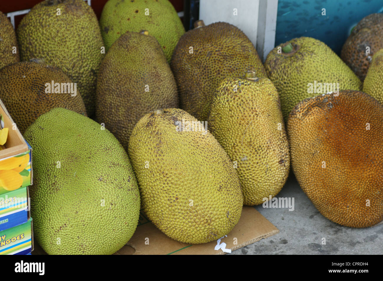 Indian mango hi-res stock photography and images - Alamy