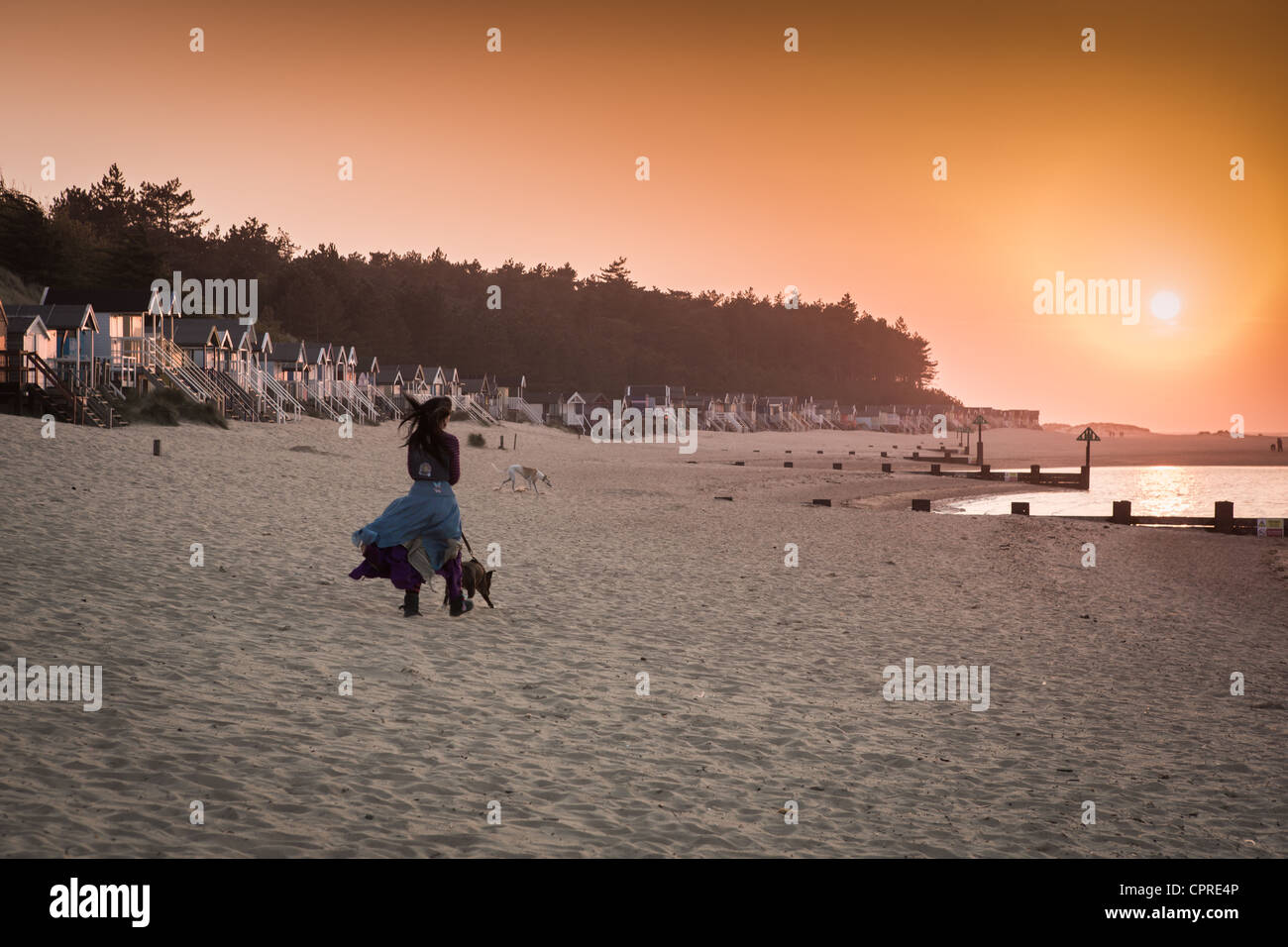 Sunset across the beach huts on Wells beach, Wells-next-the-Sea ...