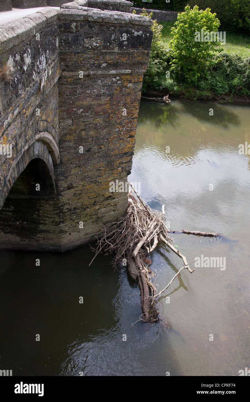 Floating debris trapped against a pier on a bridge, partially blocking ...