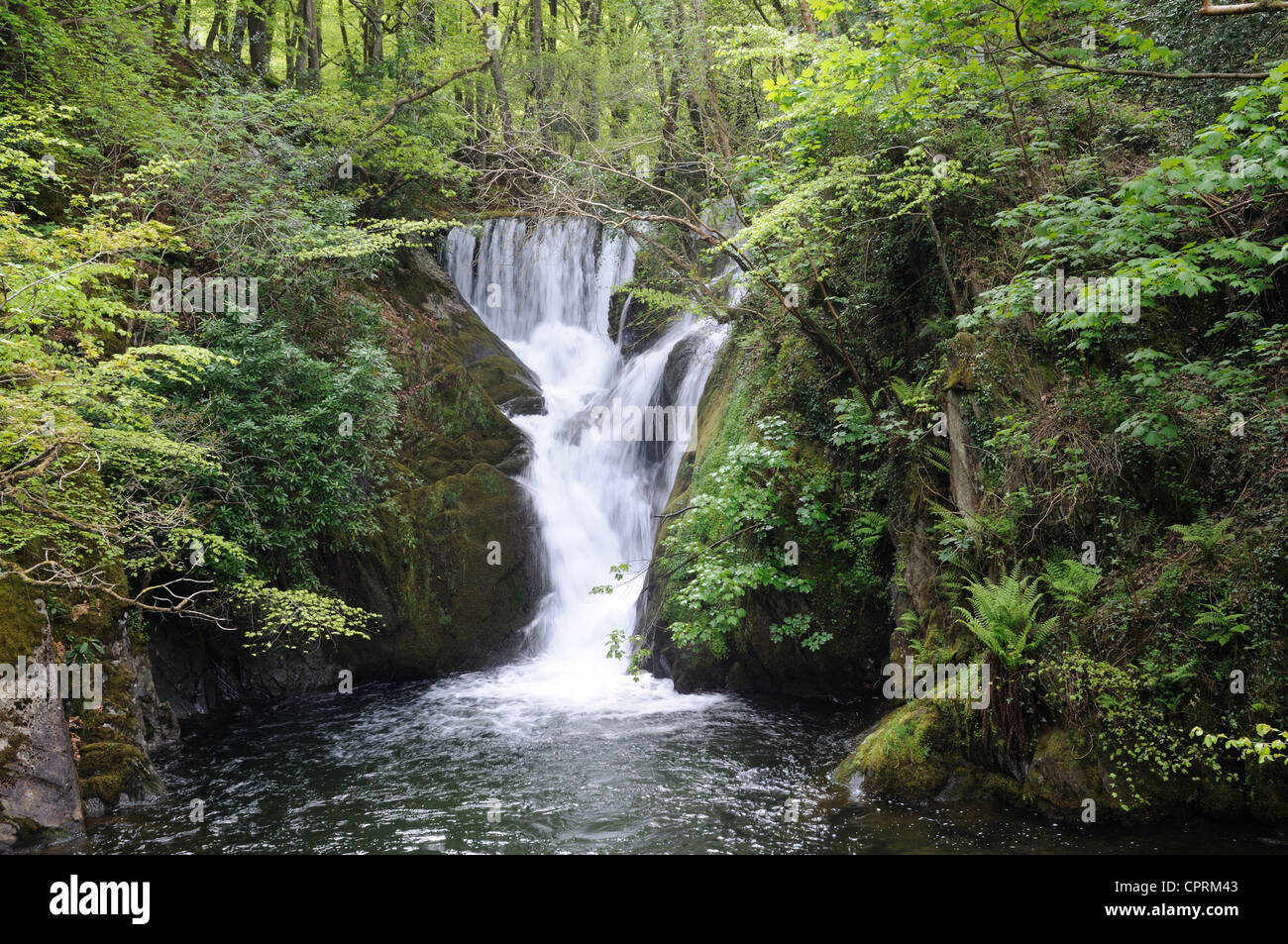 Furnace Falls River Einion nr Machynlleth Ceredigion Wales Cymru UK GB ...