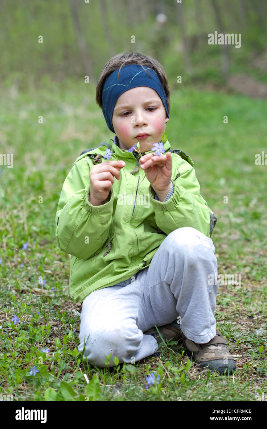 Boy gathering flowers early in the spring Stock Photo - Alamy
